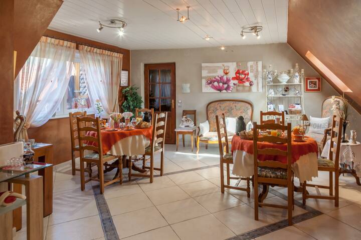 Chambre De Charme Dans Le Vignoble Alsacien - Vign - Barr