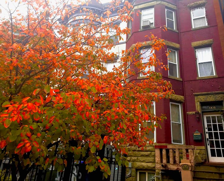 2 Bedroom*5minute Walk To Metro*parking*central Dc - Washington, DC