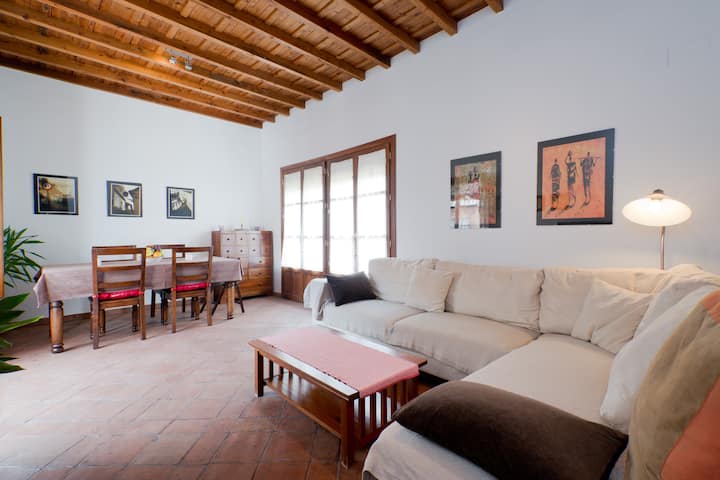 Apartamento Albaícin Granada - Granada