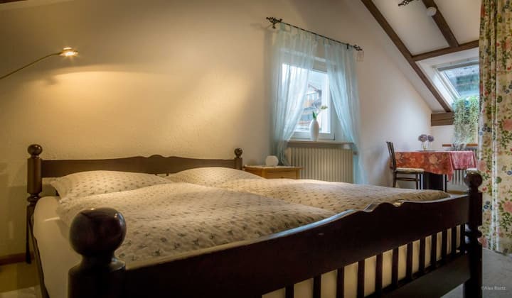 65 M² Ferienwohnung ∙ 1 Schlafzimmer ∙ 3 Gäste - Belchen
