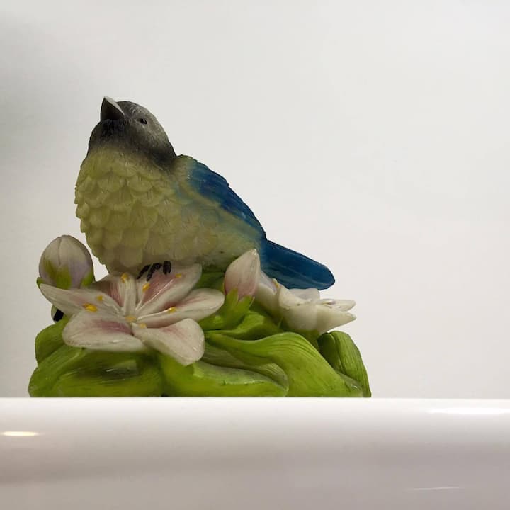 Cute Tiny Bird House In The Center -