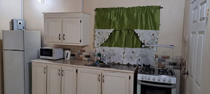 Ocean Drive Rustic Apartment - 千里達及托巴哥