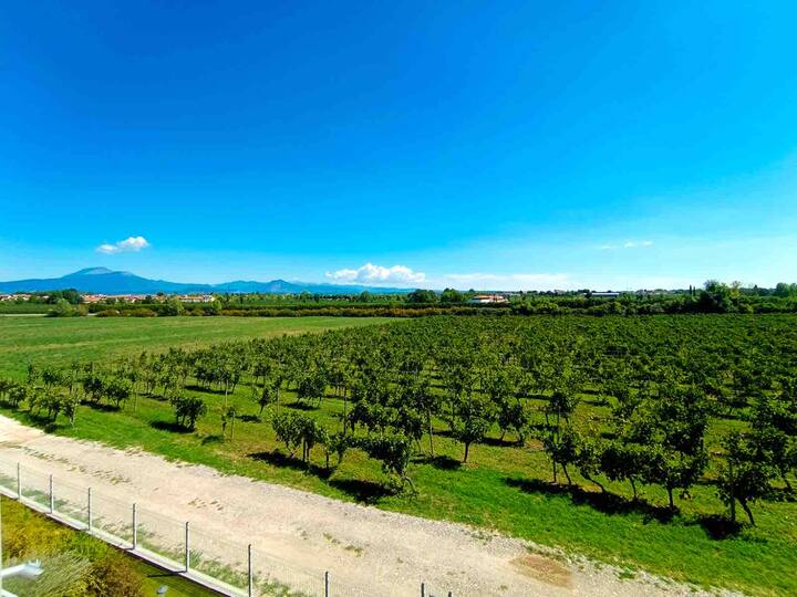 App N.1 Bilocale Piano 1- Cir:023059-loc-00490 - Lake Garda