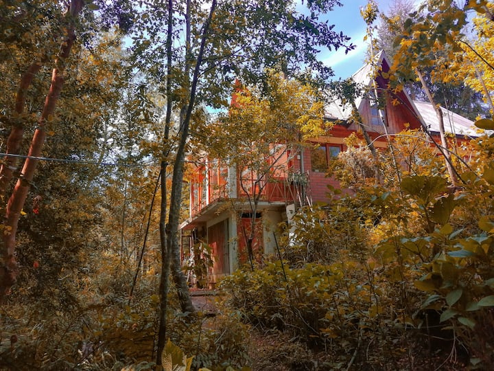 Estero Huichatio Lodge - Los Ríos