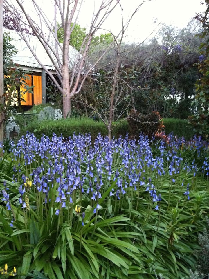 Beautiful Cottage In Dwellingup - Dwellingup