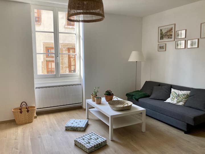 Appartement 2 Pièces à Coté De La Mairie De Vienne - Hôtel ibis Vienne Sud