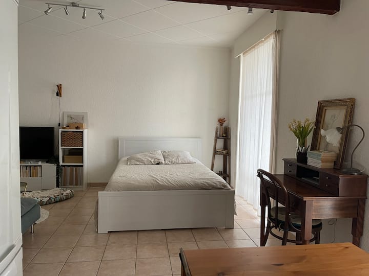 Cozy And Beautiful Studio! Great Location! - Crissier