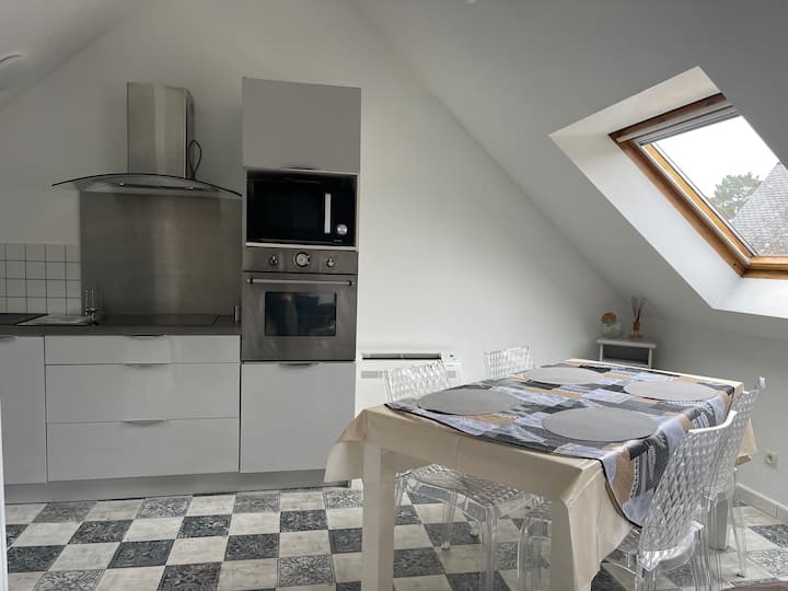 (11) T3, 6 Pers, Plage 13min Wifi / Climatisation - ibis Styles Lorient Caudan