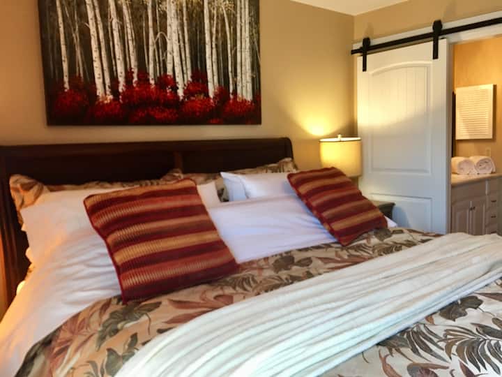 Luxury Town House, Great Location In Greenville - Greenville, NC