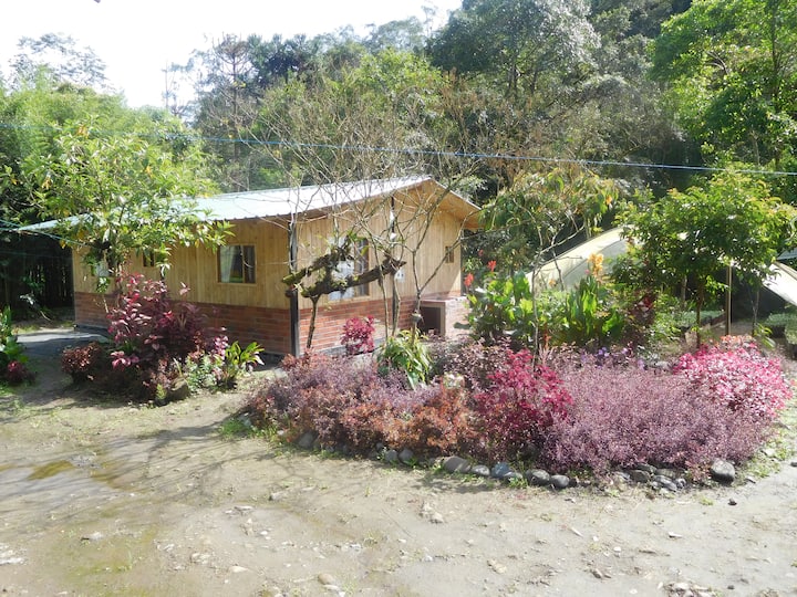 Coffee Cabin - Your Home In The Cloud Forest - Yunguilla