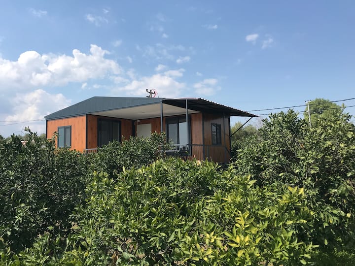 Mandalina Bahçesi Içerisinde Bol Oksijen 2 - Seferihisar