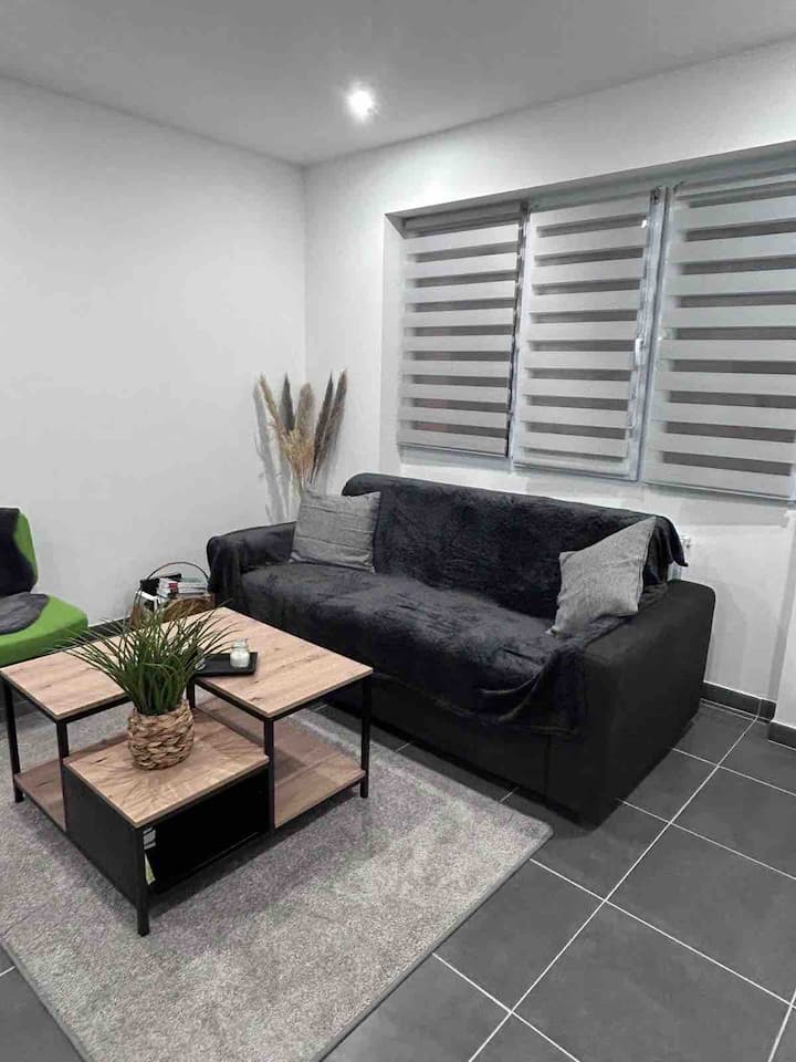 Appartement Moderne 50m 2/terrasse+parking - Saint-Claude