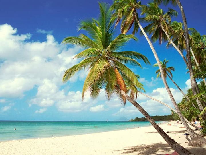 Joli Appart & Splendide Vue Sur Mer à Sainte-anne - Martinique