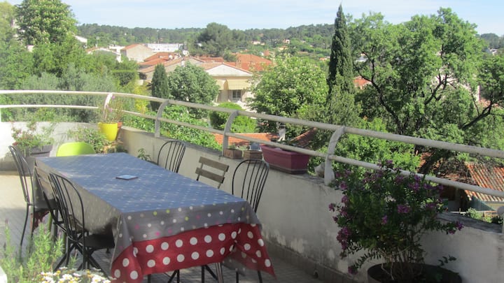 Nîmes Centre: Grande Maison, Jardin - Nimes