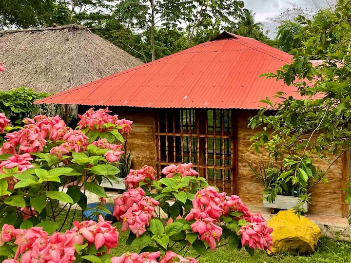 Finca Dos Apóstoles - Córdoba