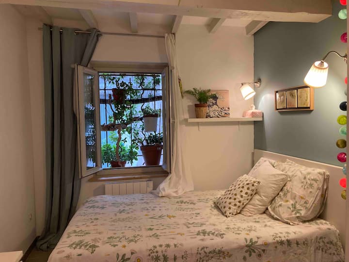 Charmante Chambre Avec Sanitaire Intra Muros - Avignon