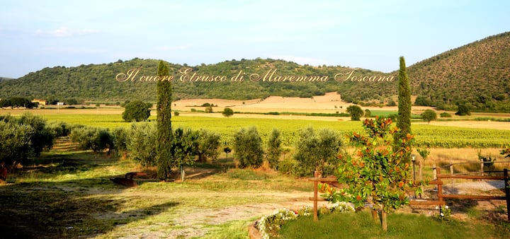Casa Vacanze Il Girasole - Agriturismo Il Bagnolo - Grosseto