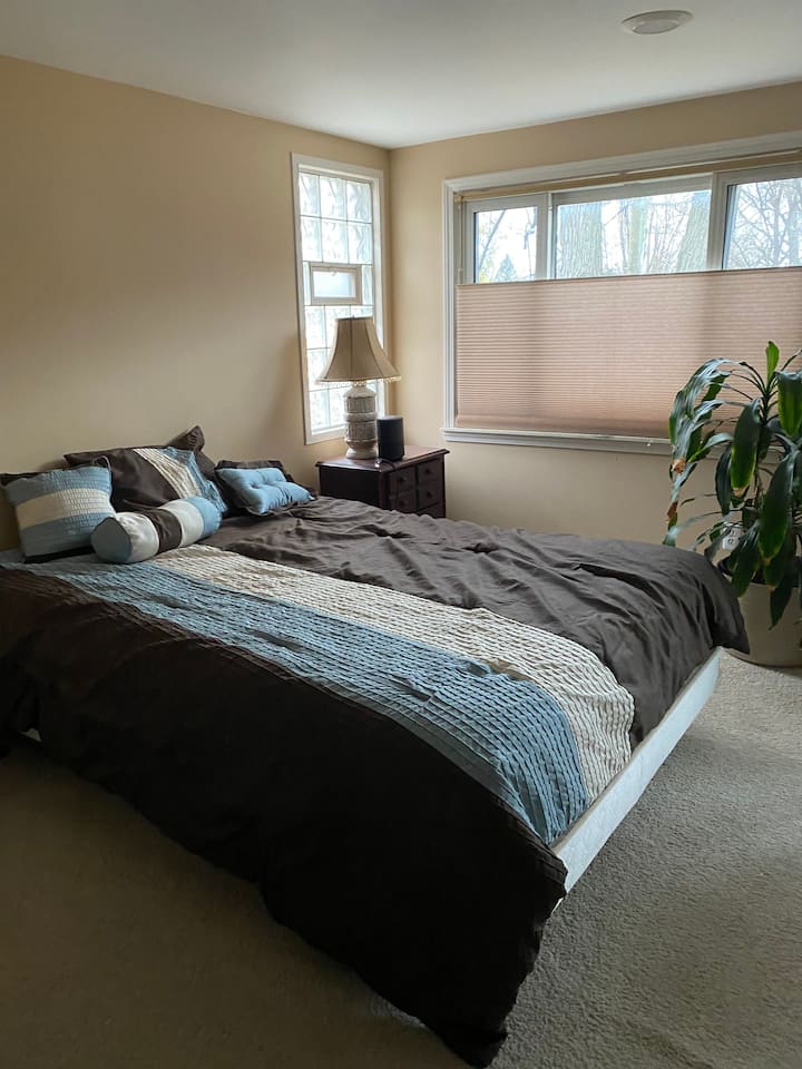 Very Spacious, Sunny Bedroom Upstairs W/queen Bed. - Royal Oak, MI
