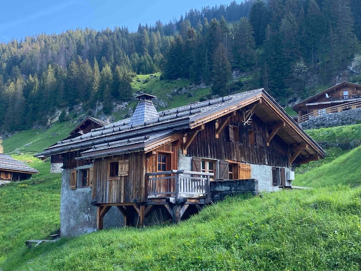 Chalet D'alpage - Ski Aux Pieds - Domaine Avoriaz - Abondance