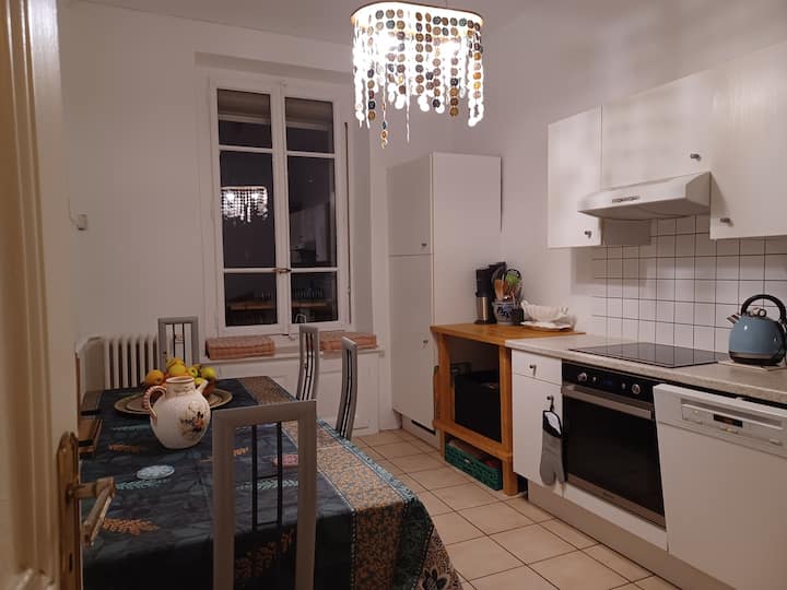 Grande Chambre D'ami Au Centre - Geneva