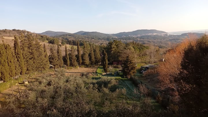 L'oliveta Di Rossana E Vincenzo - Rosignano Marittimo