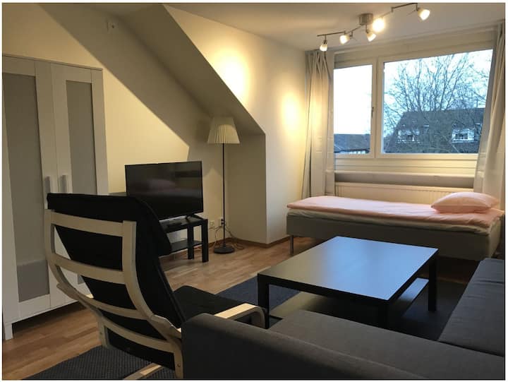 Linköping: Three Room Apartment With 6 Beds - Linköping