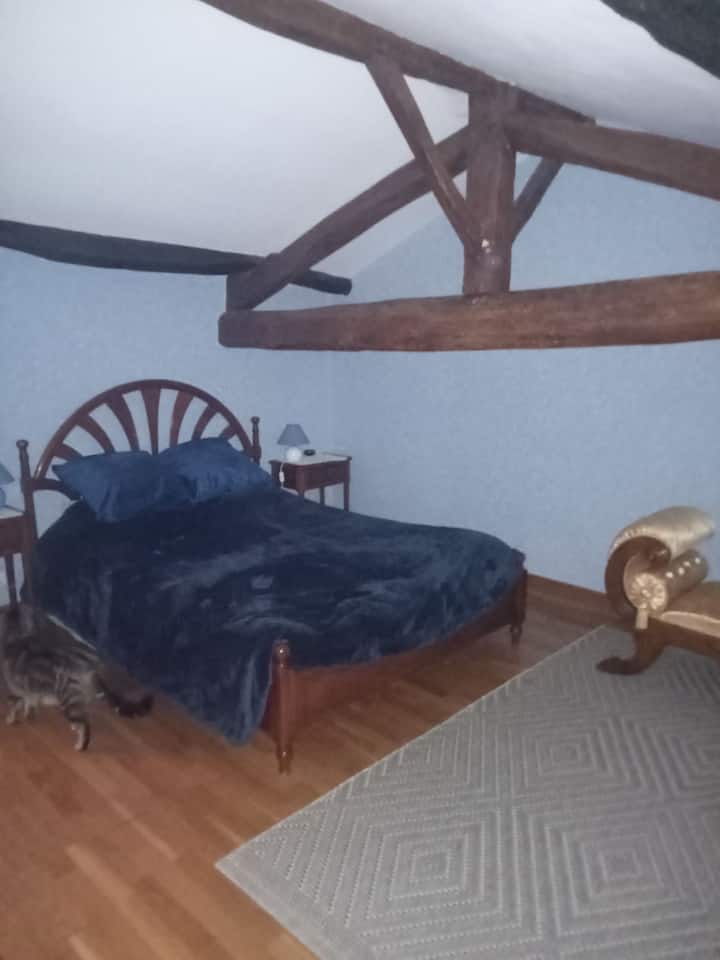 La Chambre Bleue - Maison Avec Accueil Chaleureux - Mervent