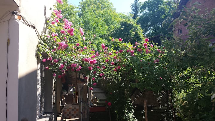 Very Clean Apartement With Fantastic Garden - Požarevac