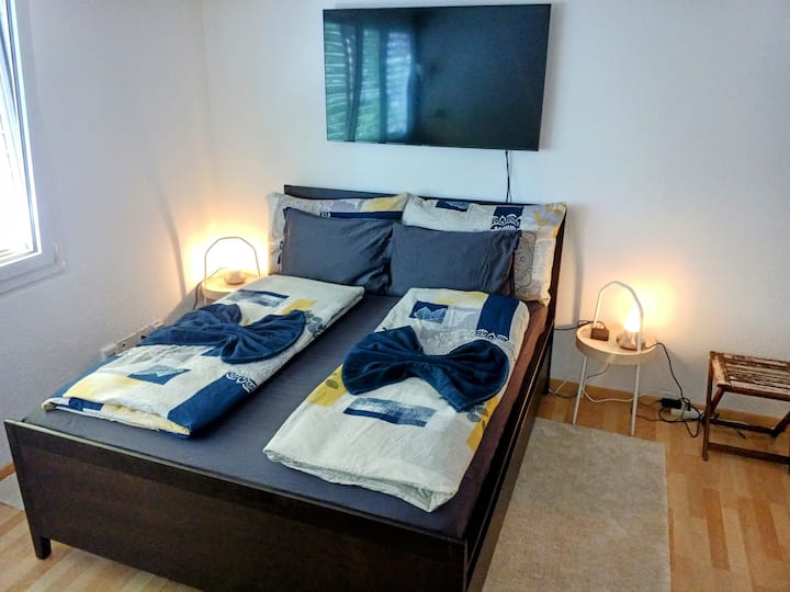 Family Friendly, Free Bus (Reg 0hzz7-i31yis) - Lucerne