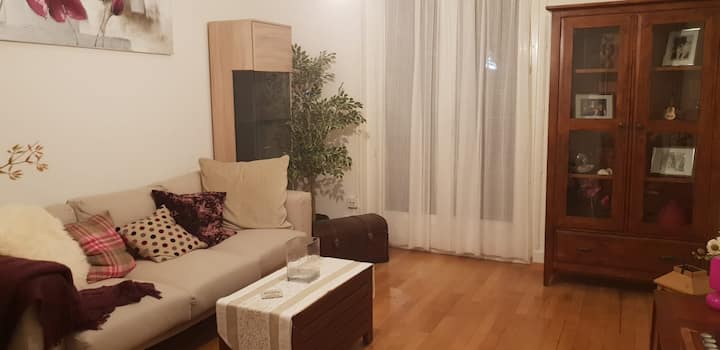 Spacious Apartment In A Peaceful Neighbourhood. - Lausanne