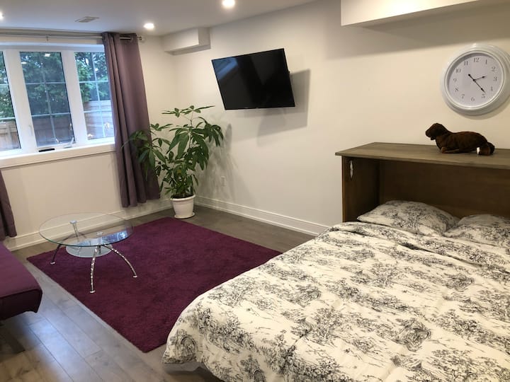 Independent Cozy  Walk Out +  Beautiful Amenities - Aurora