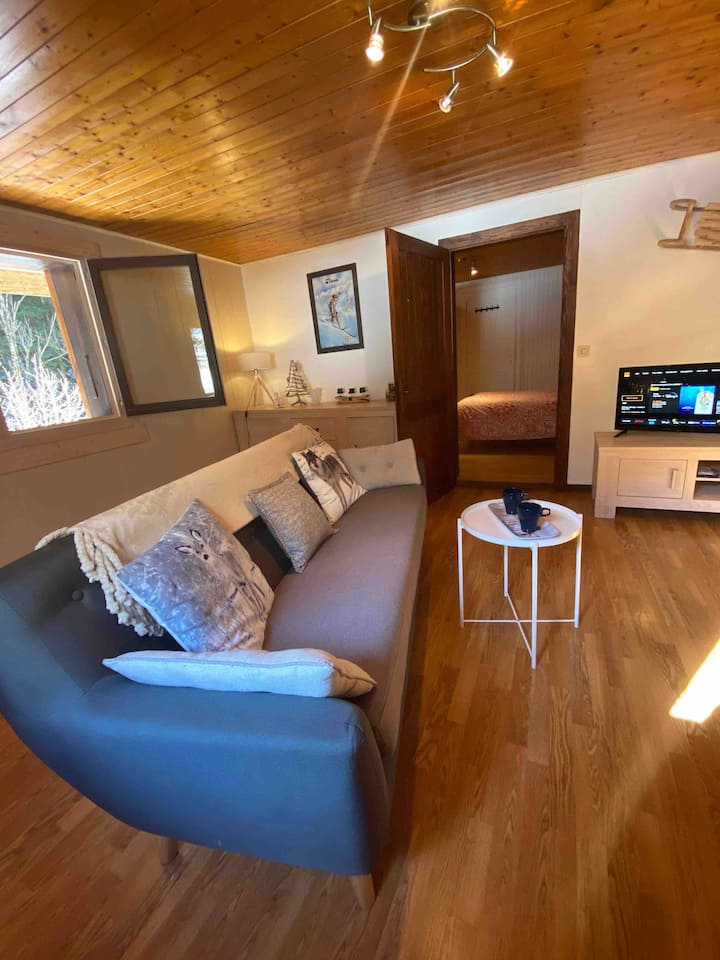 Le Chalet Du Torrent
Logement
*La Forêt* - La Clusaz