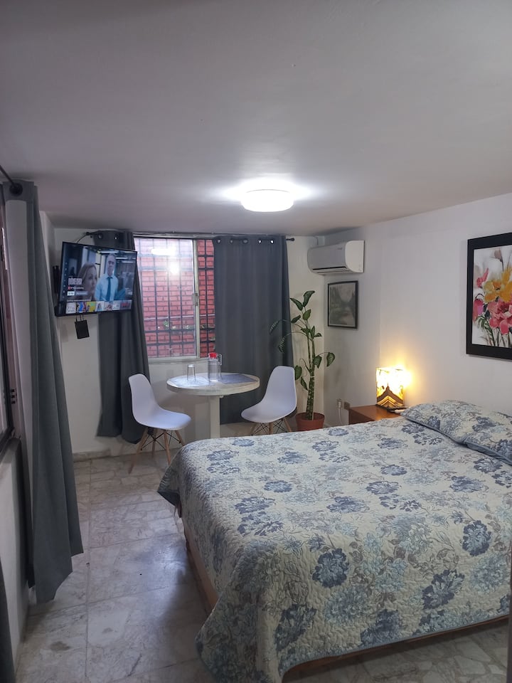 Loft Céntrico Cuenta Con Todas Las Comodidades. - Saltillo
