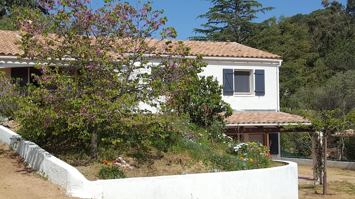 Confortable Maison à Molini à Côté D'agosta Plage - Porticcio