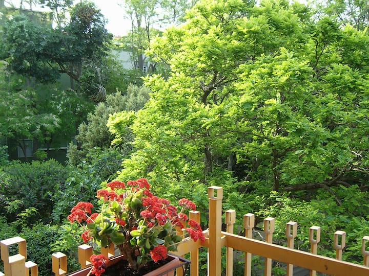 Three Bedrooms Flat - Cagliari