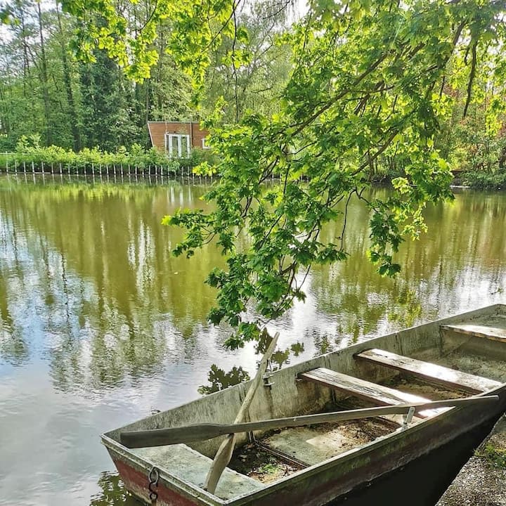 Tiny Apolline, Tiny éCologique Au Bord D'un Lac - Seneffe