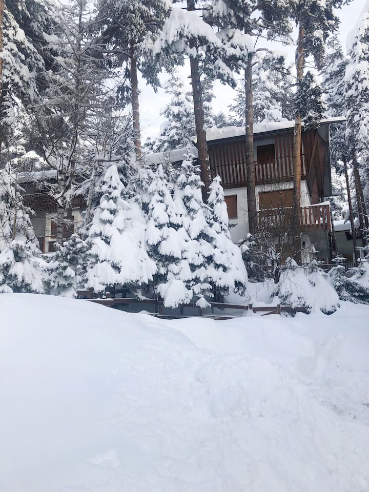 Splendido Appartamento Vicino Ai Campi Da Sci - Bardonecchia