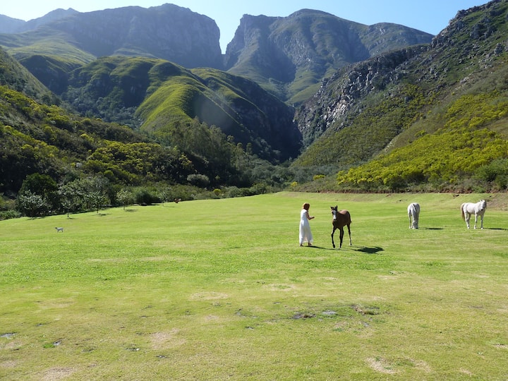 Godswindow.  Exclusive Guesthouse - Swellendam