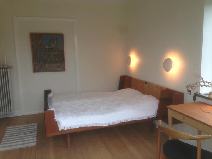 A Room With A View.   Private Bath And Kitchen - Odense