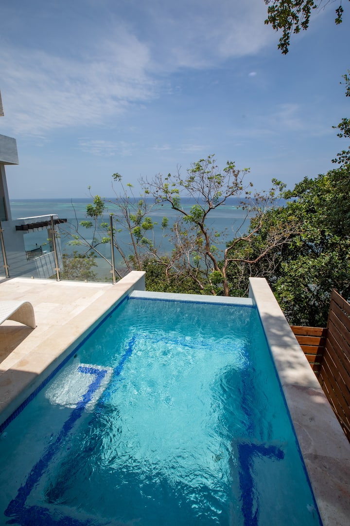 Oceanfront Casita W/ Private Plunge Pool + Reef - Honduras