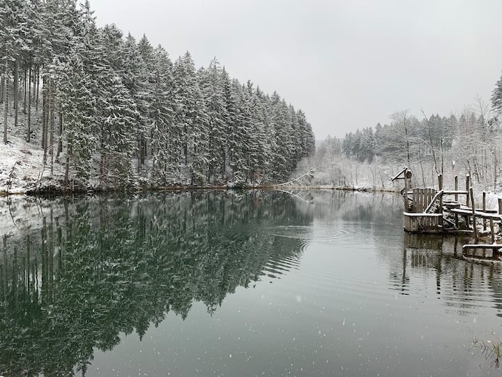 Mitten Im Harz Und Teil Der Kaiserstadt Goslar! - Goslar
