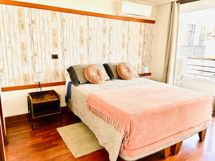 Metro Manuel Montt Gabanna Suites 11 Providencia - Providencia