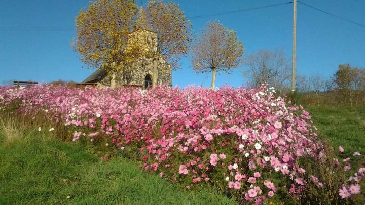 Maison - Ferme Au Milieu Des Vignes Beaujolaises - Beaujolais