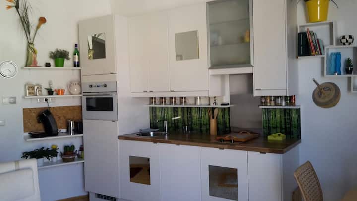 Schönes Zentrales Appartment Mit 2 Zimmern - Wien