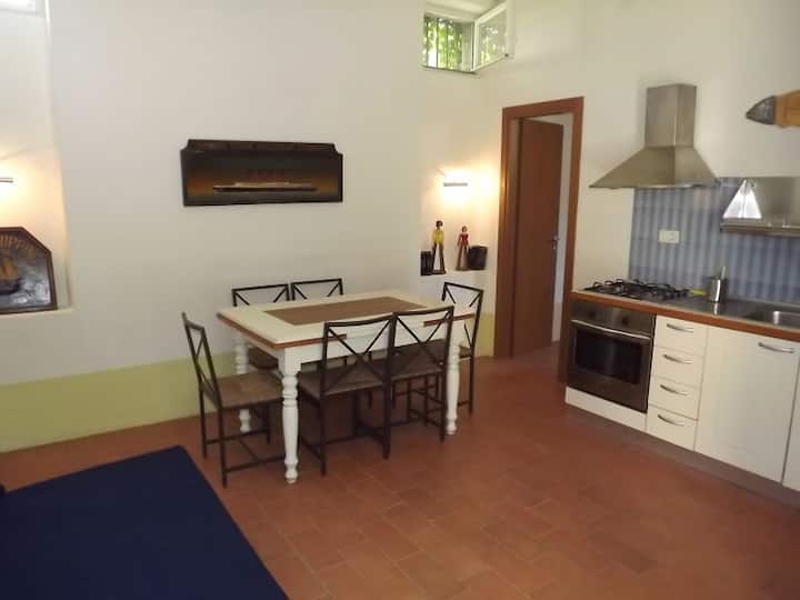 Pinewood 6 Bedplaces With Garden - Marina di Campo