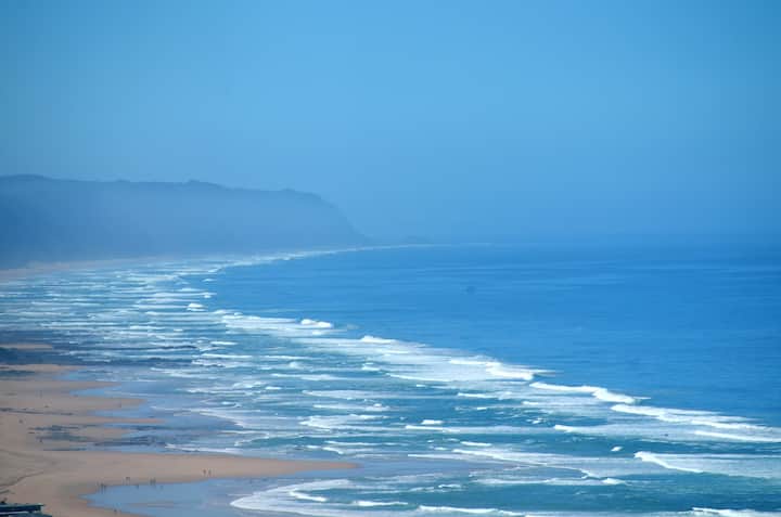 Captain's Cabin A Wave Song - Wilderness