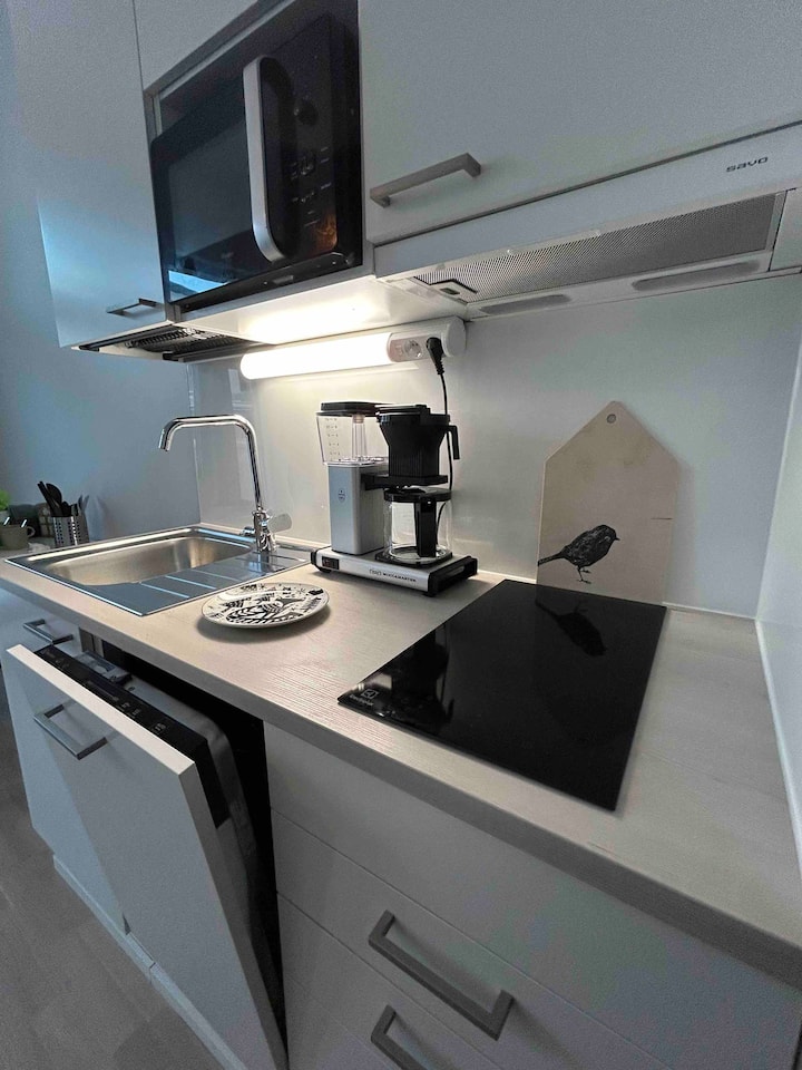 Moderni Studio+autopaikka, Huippusijainti - Helsinki