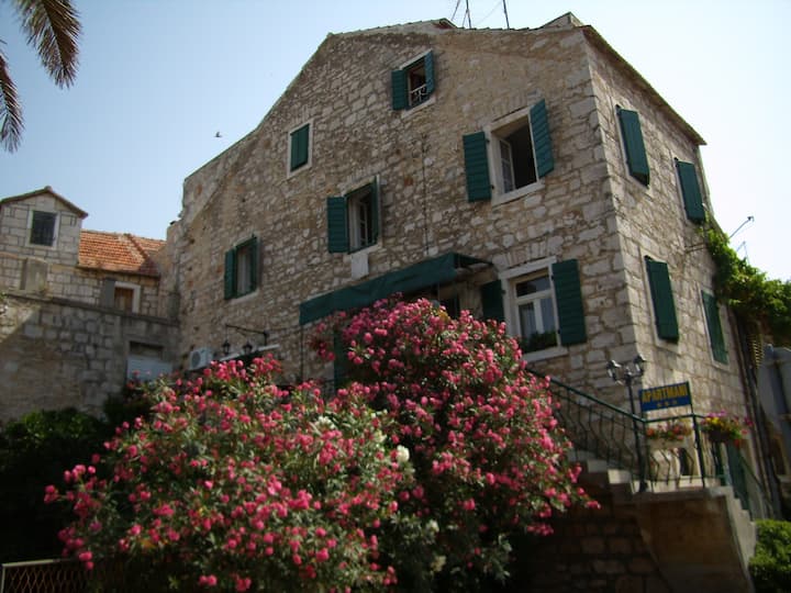 Apartments Dalmatian Stone House - Cittavecchia