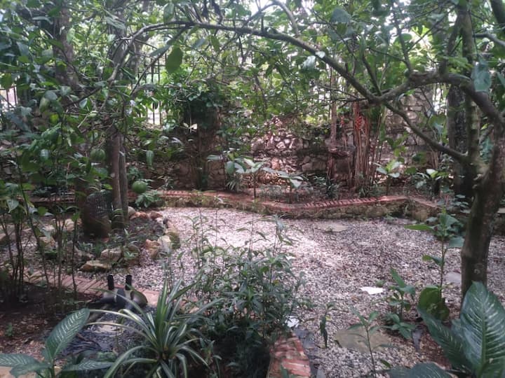 Paradise - Port-au-Prince