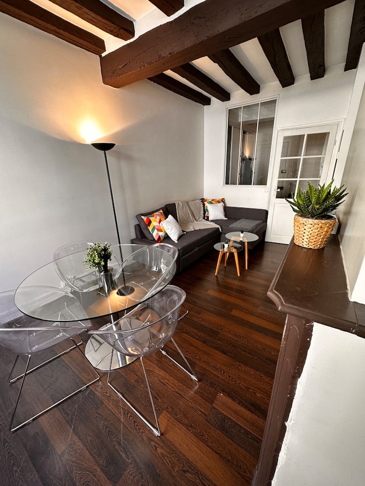 Charmant Appartement T2 45m2 - Hypercentre - Orlean